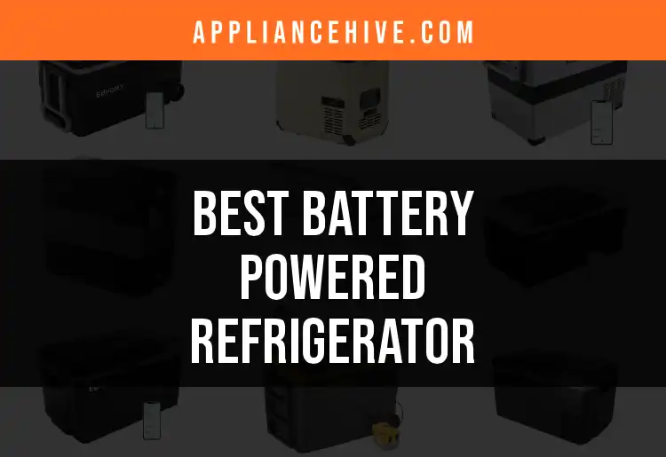 12 Battery Powered Refrigerators to Keep You Cool