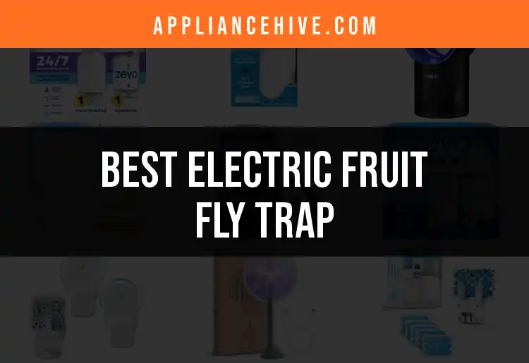 15 Best Electric Fruit Fly Traps for a Pest-Free Home
