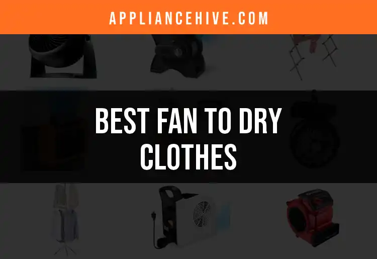 16 Best Fans to Dry Clothes Efficiently and Effectively