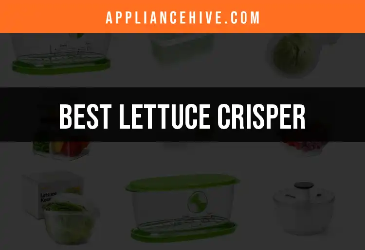 Top 10 Lettuce Crispers for Freshness That Lasts