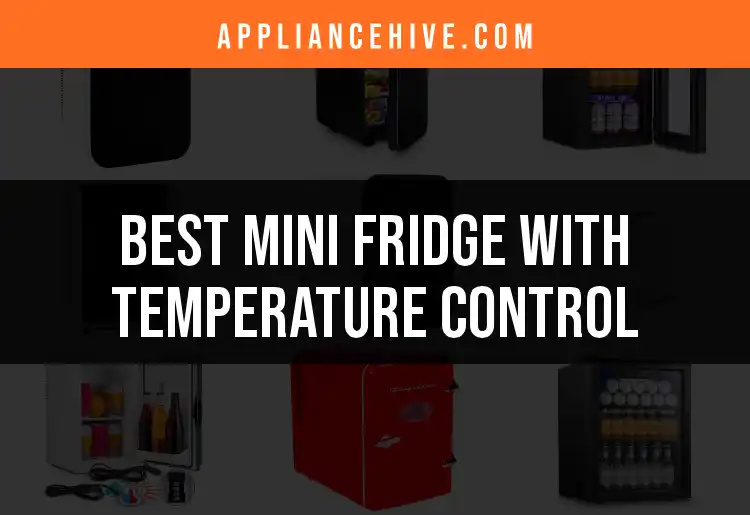 14 Mini Fridges With Temperature Control You’ll Love