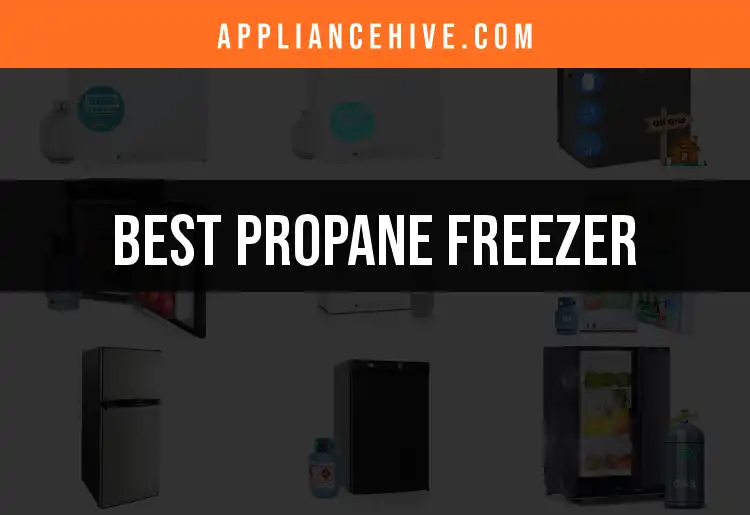 12 Best Propane Freezers for Your Home Needs