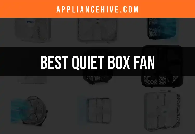 13 Quiet Box Fans That Deliver Perfect Peace