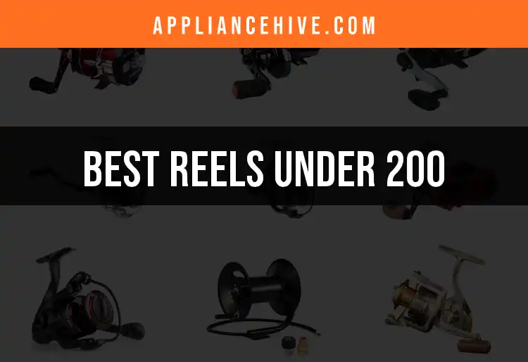 13 Best Reels Under 200 for Every Fishing Enthusiast