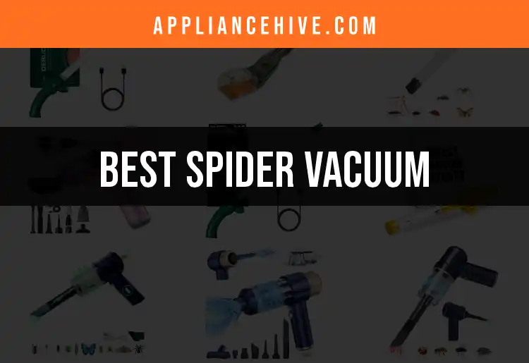 18 Best Spider Vacuums for Effortless Home Cleaning